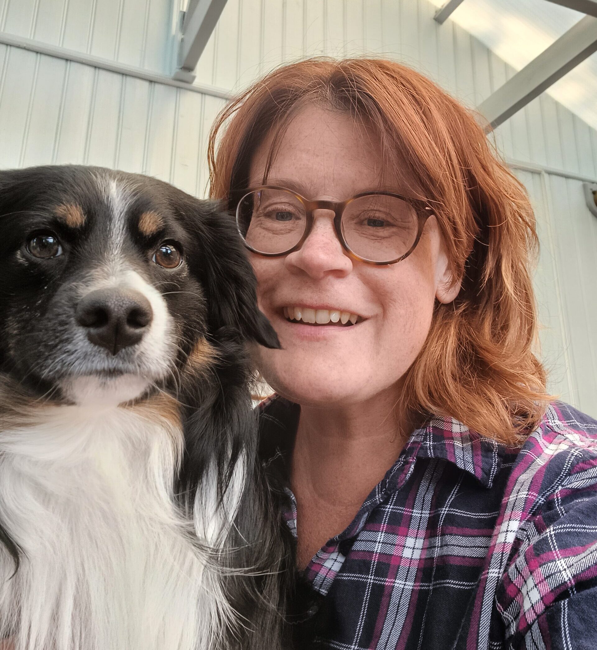 Tellgren Translations - tellgren translations